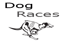 Australian Greyhound Tips: Betting Selections for Dog Racing