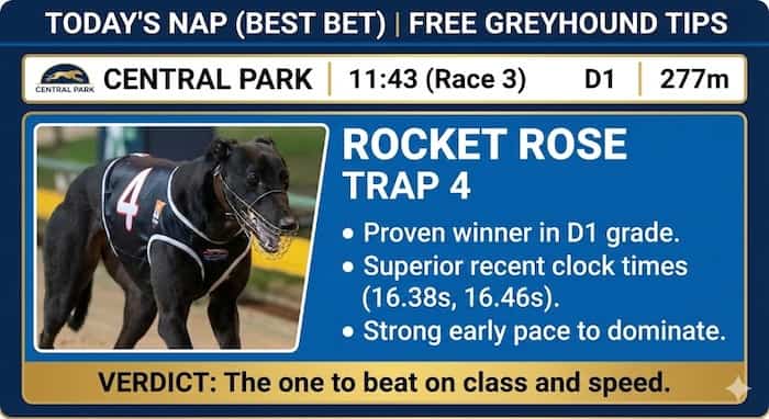 Race Reviews and Free Greyhound Tips 30-01-26 - Greyhound Tips